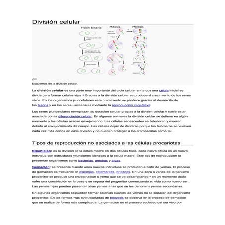 División CELULAR- Proceso de division celular | PPTX