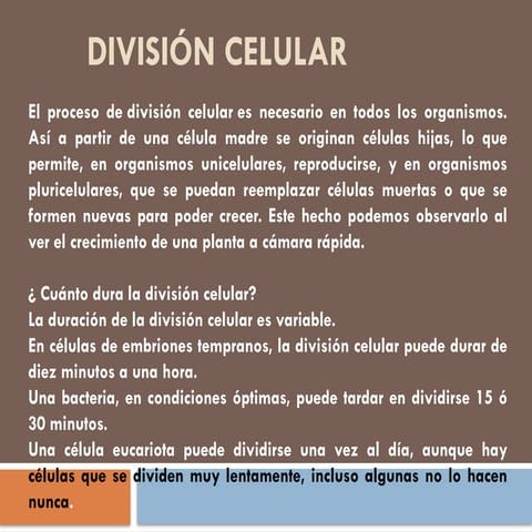 División CELULAR- Proceso de division celular | PPTX