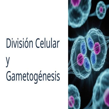 Division Celular | PPT