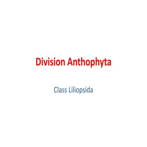 Division anthophyta | PPT