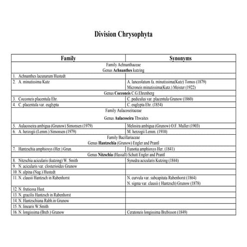 Division CHRYSOPHYTA of algae. alll.docx