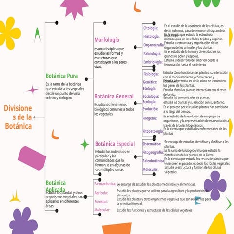 Divisiones de la Botánica.pptx..,........., | PPTX