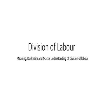 Division of Labour fOR Law students in short | PPTX