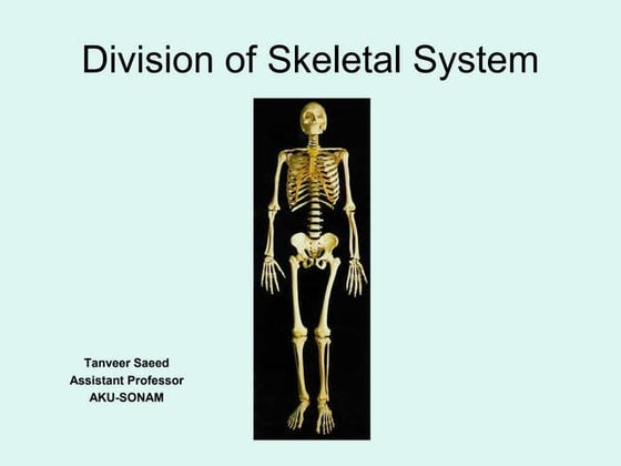 Frog skeletal system, bones, girdles | PPT