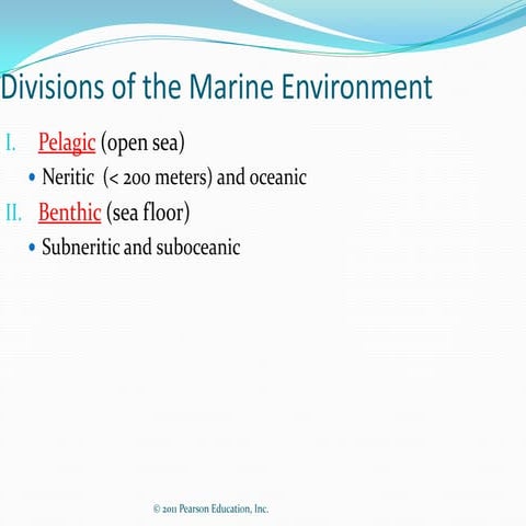 Divisions of the Marine Environment | PPTX