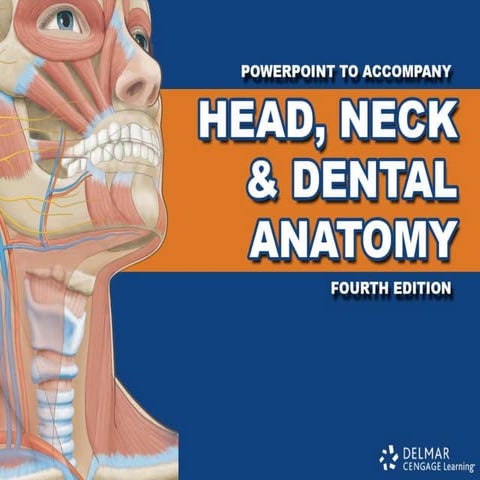Tooth Anatomy Ppt Free Anatomy PowerPoint Templates & Google Slides