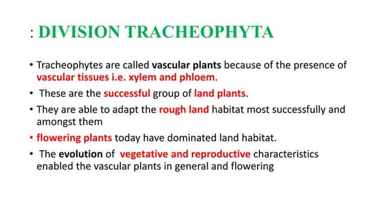gymnosperm, Glossopteridales, Glossopteris | PPTX