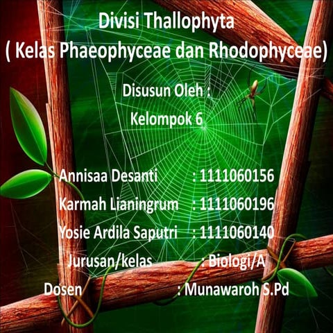 Divisi thallophyta | PPTX