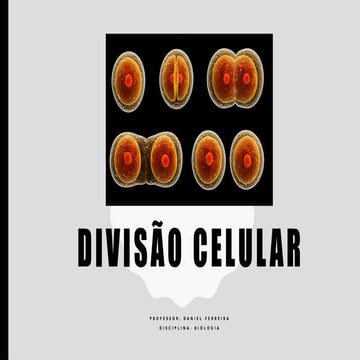 Membrana Plasmática e Envoltórios Celulares.pptx