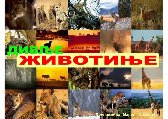 Razredna pravila.ppt