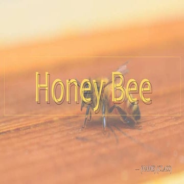 Honey bees for grade 2 | PPTX