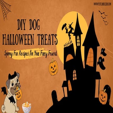 Pet Stories: The Importance of Deworming | Best Dog Dewormers & Pet ...