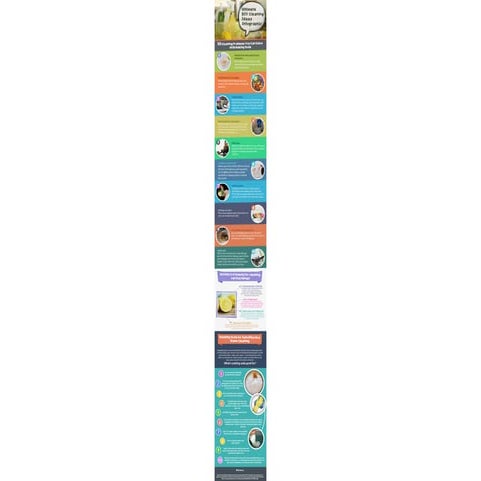 Diy cleaning infographic | PPT