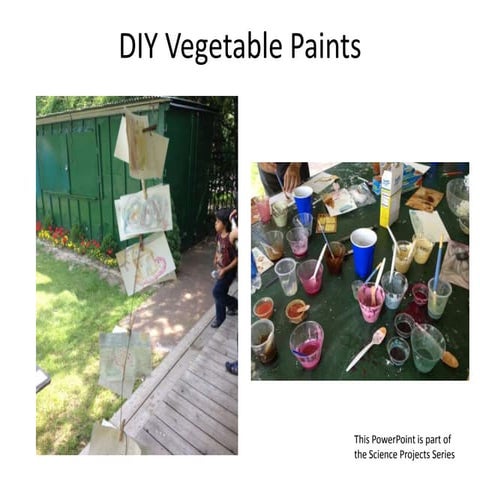 DIY Paints | PPTX | Painting | Arts and Crafts