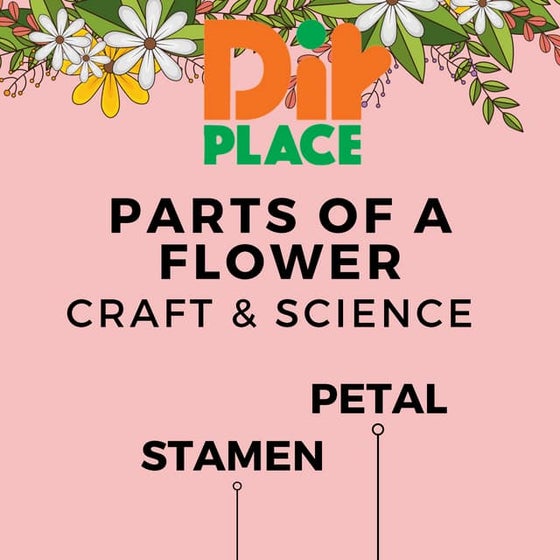 DIY Place Lines Worksheet | PDF
