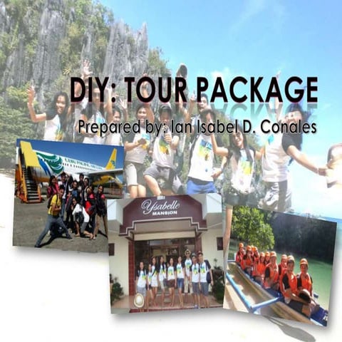 Diy tour package | PPTX