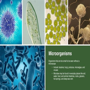 Organisms that are too small to be seen without a microscope ﻿﻿Include ...