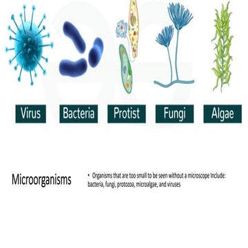 bacteria, fungi, protozoa, microalgae, and viruses | PDF