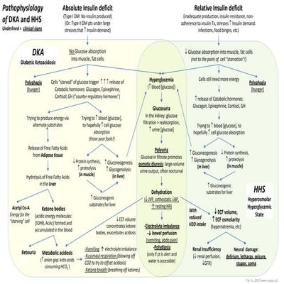 Dka hhs-pathogenesis