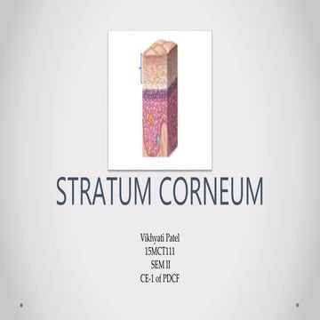 stratum corneum | PPTX