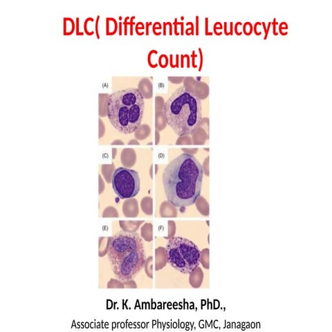 SUB CENTER, PRIMARY HEALTH CENTER, COMMUNITY HEALTH CENTER | PPTX