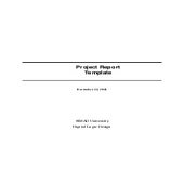 Dld report tamplate | PDF