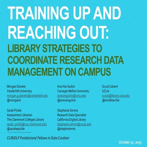 DLF Panel on RDM Strategies in the Library, Oct 2015 | PPT