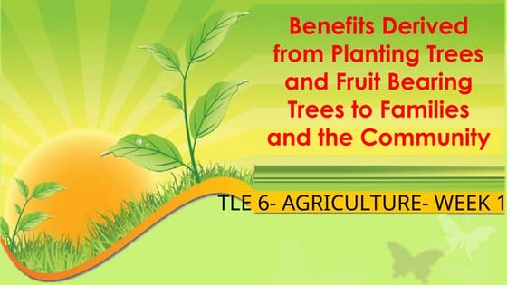 Grade 6 DLP_TLE_Agriculture - Week 1.pdf