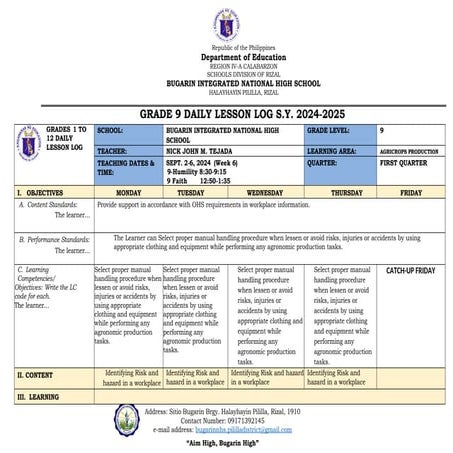 DLL Grade 9 Q1 Week613131313131323313.docx