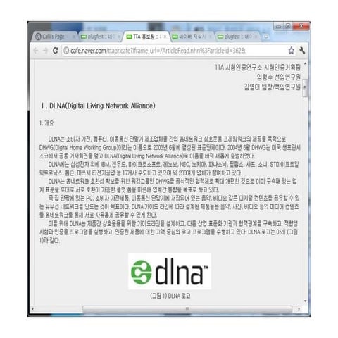 Dlna window media | PPTX