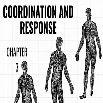 DLP F1 CH 3 COORDINATION AND RESPONSE.pdf
