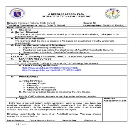 DLP_Observation-1.docx