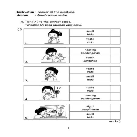 DLP SCIENCE year 3.docx