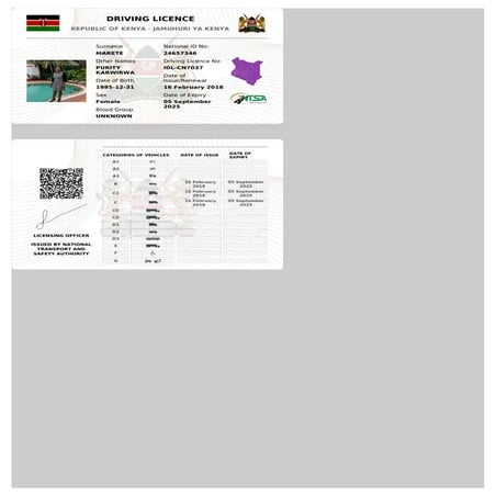 DLR-QPEUWZW6M-Electronic Driving License.pdf