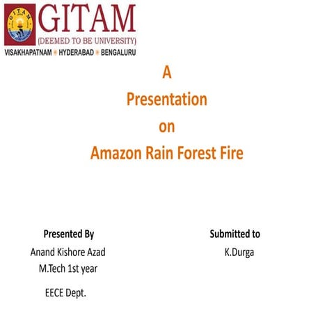 Amazon RAIN Forest Fire | PPTX