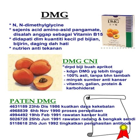 Dmg1 | PDF