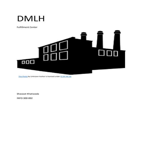DMLH LAN project | PDF