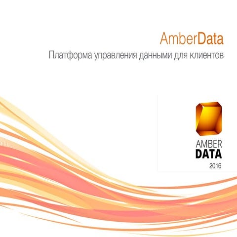 AmberData: Dmp for clients | PDF