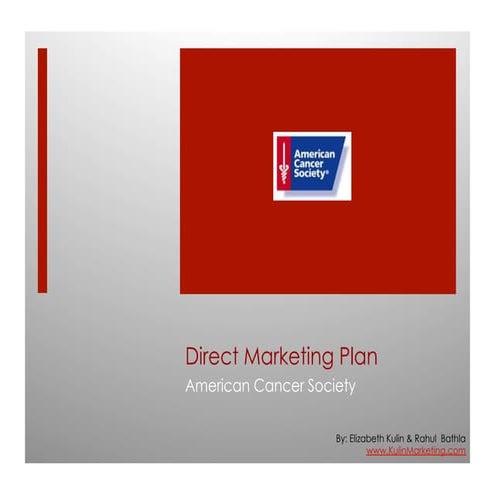 Direct Marketing Plan | PPT