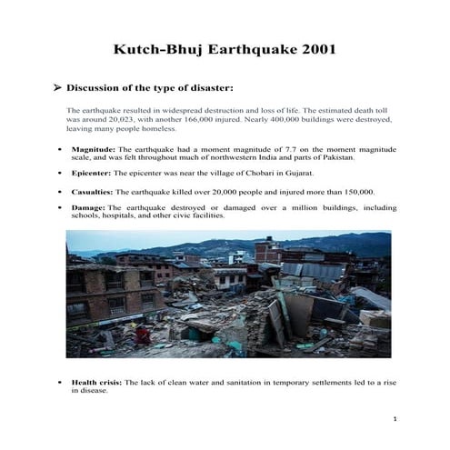 DM_report.docx disaster management case study | DOCX