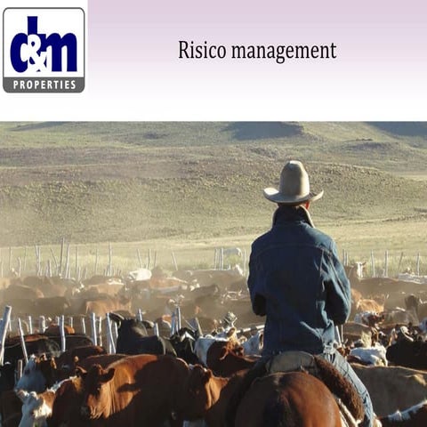 D&m risicomanagement | PPT