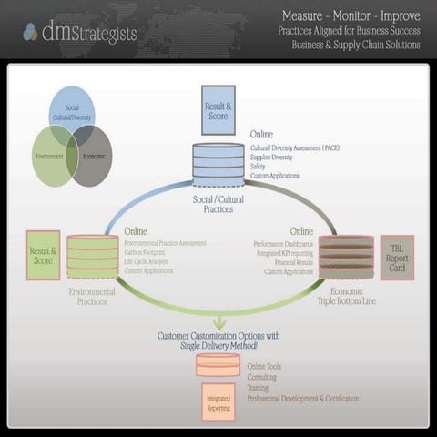 Dms Summary Diagram | PPTX