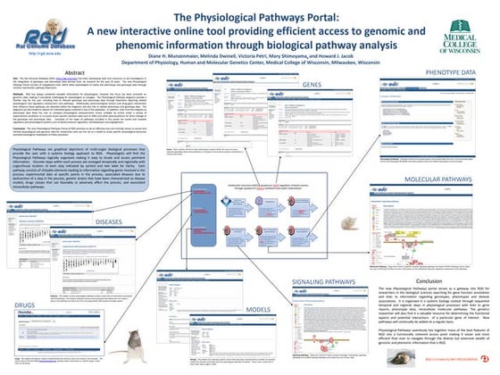 Physiological pathway diagrams at rgd | PPT