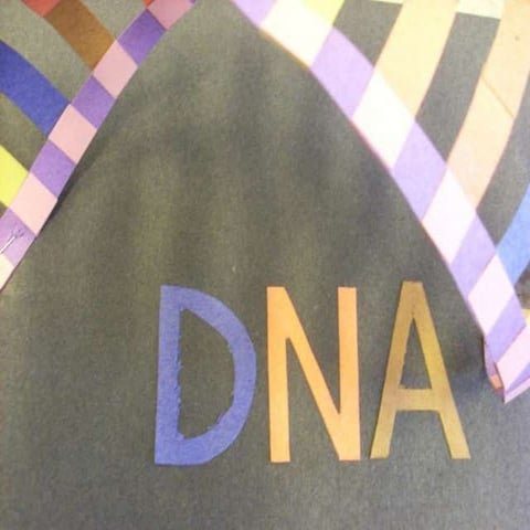 Dna Pptx 6717