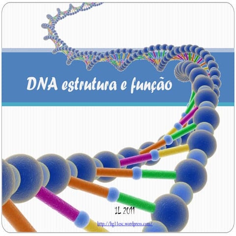 DNA -estrutura e função | PDF