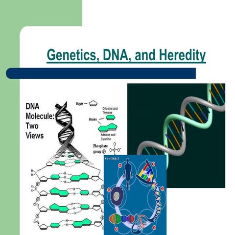 Dna | PPTX