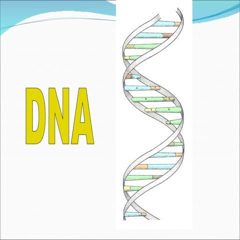 Dna | PPT | Biological Sciences | Science