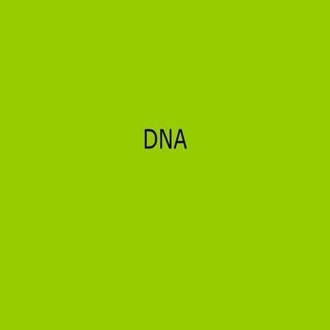 Dna | PPT