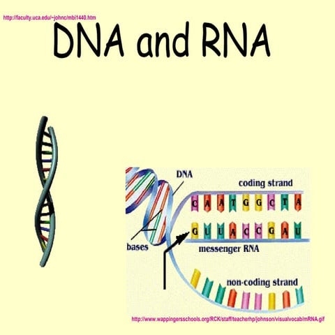 Dna | PPT