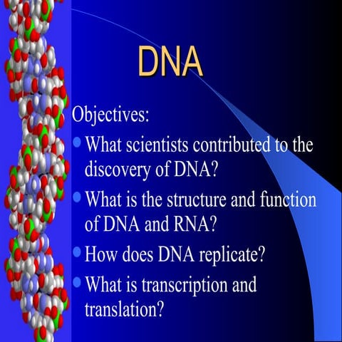 Deoxyribonuclease Structure PowerPoint.ppt